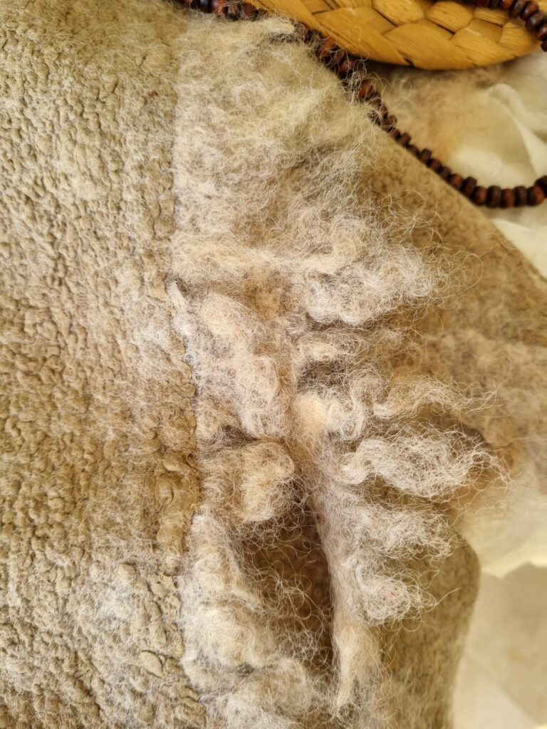 Rumi Felted Shawl – Felt Products | Sakré Design